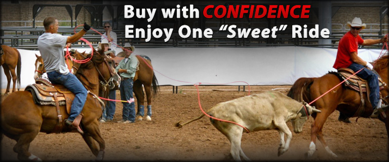 Team Roping Horses For Sale, Roping Horse Training | Diamond H Ranch