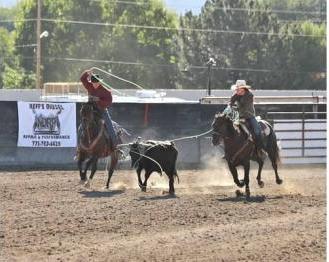 Testimonials of Satisfied Clients | Diamond H Ranch