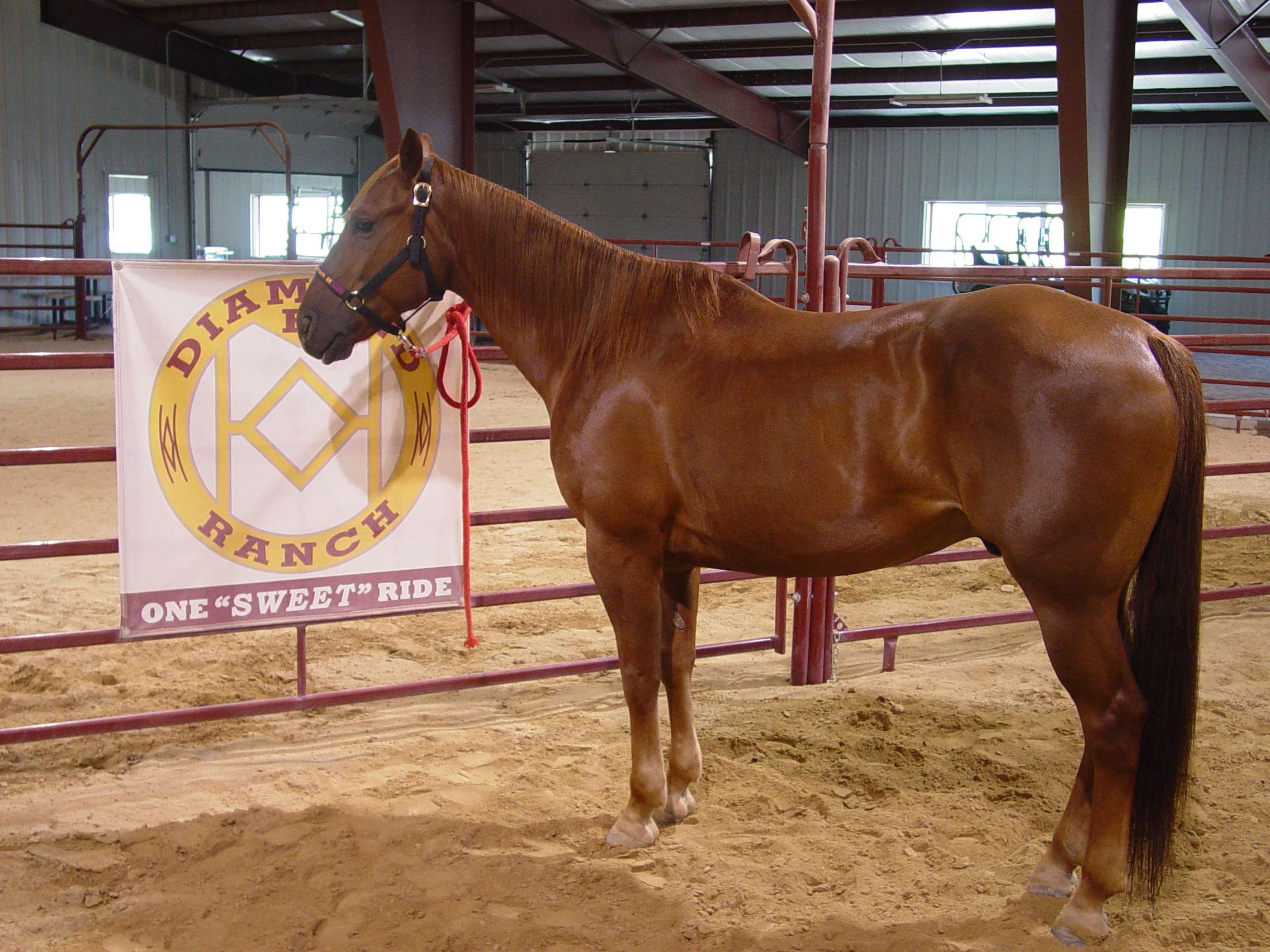 Sniper | Diamond H Ranch