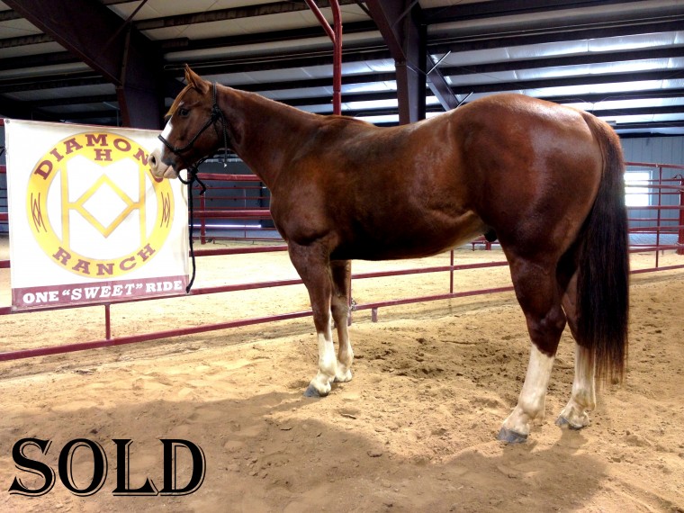 Diamond H Ranch » Cash