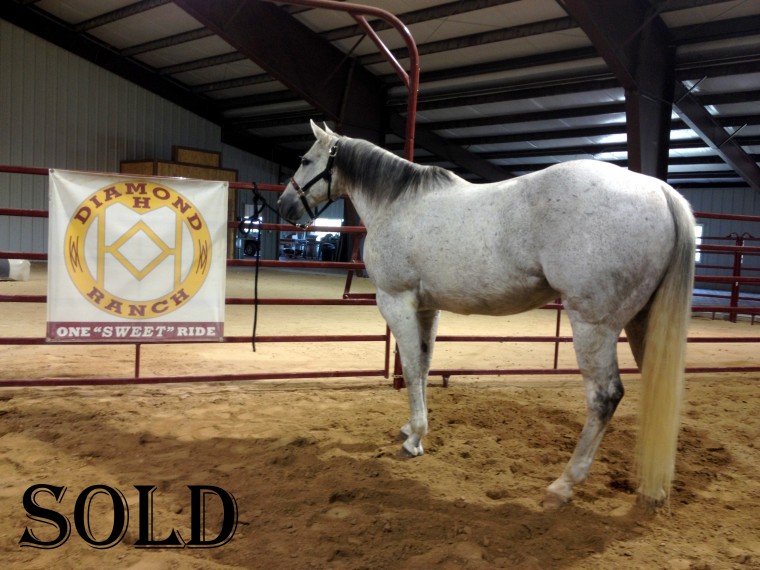 Diamond H Ranch » Pistol